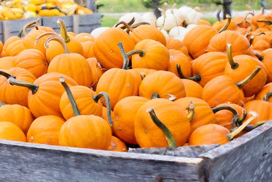 Top Halloween Gift Ideas For Boyfriend Updated Sept 2019 Top Halloween Gift Ideas For Boyfriend Updated Sept 2019