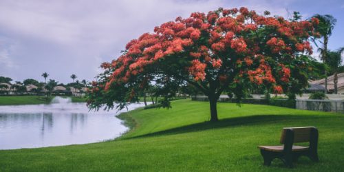 10 Spring Activities for Adults to Enjoy