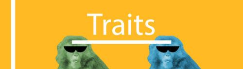 Gemini Monkey: Personality, Career, Love