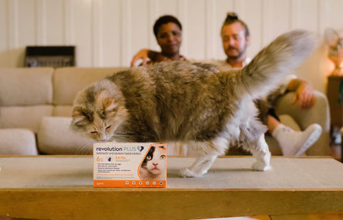 25 Romantic Movie Date Night Ideas to Enjoy at Home