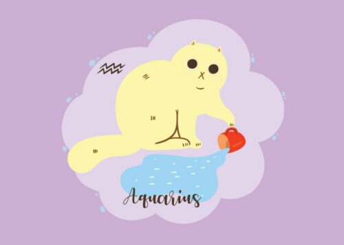 Cat Astrology: A Guide to Aquarius Cats' Personalities