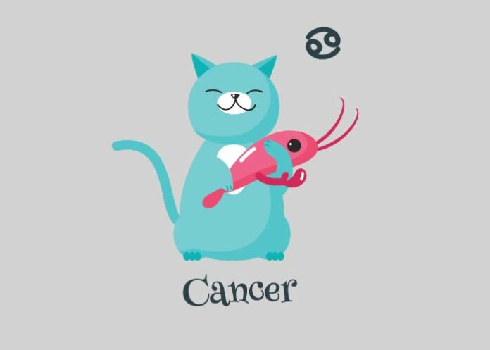 The Cancer (Zodiac) Cat: What Are These Kitties Like??