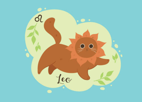 Cat Astrology: What Are LEO CATS like?