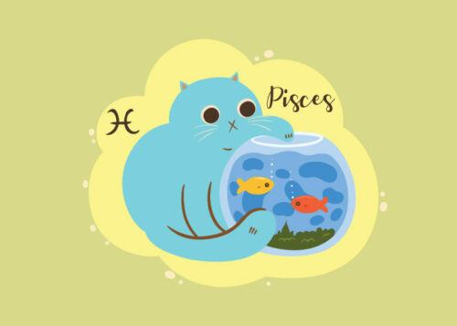 Pisces Cat Personality: What Are the Cats of PISCES Like?
