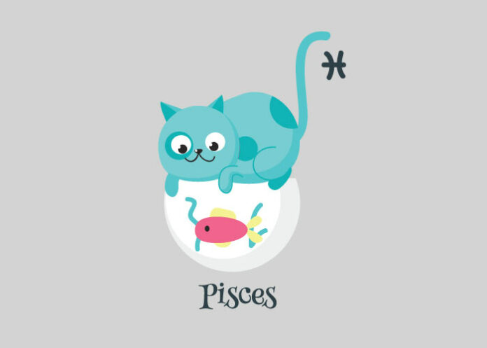 Pisces Cat Personality What Are The Cats Of Pisces Like