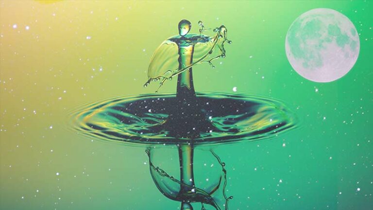A Guide to WATER Zodiac Sign Facts and Personality You Should Read